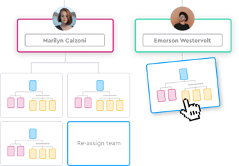 Org Design Software Features - Functionly